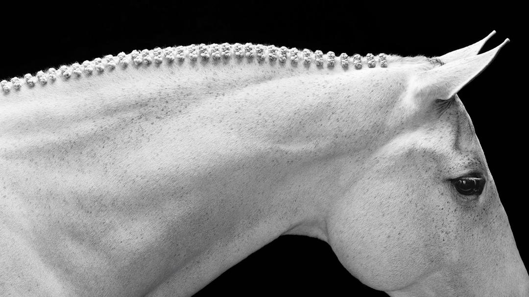 reFocus Awards | Home